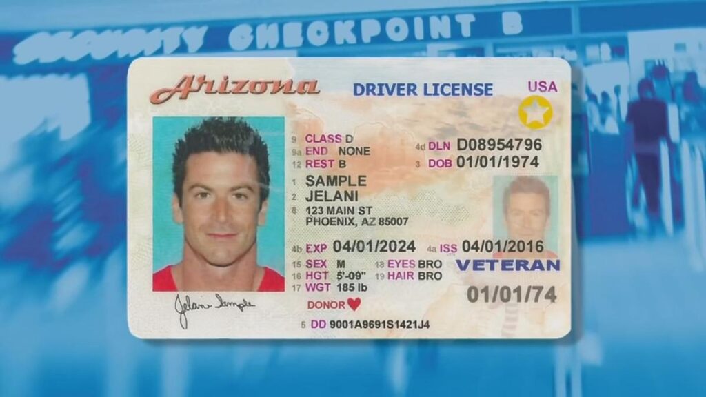 La guía definitiva para obtener la licencia de conducir en Miami Tener ...